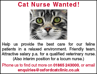 The Oxford Cat Clinic seeks a permanent qualified cat nurse and an ...