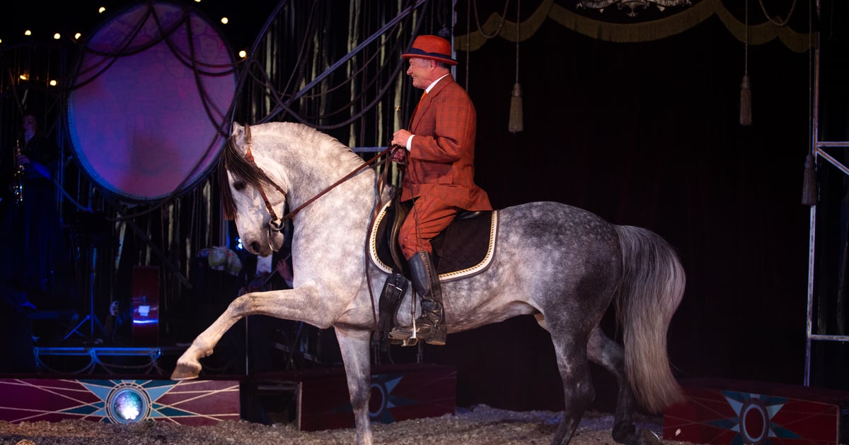 Giffords Circus: My Beautiful Circus - Daily Info | Daily Info