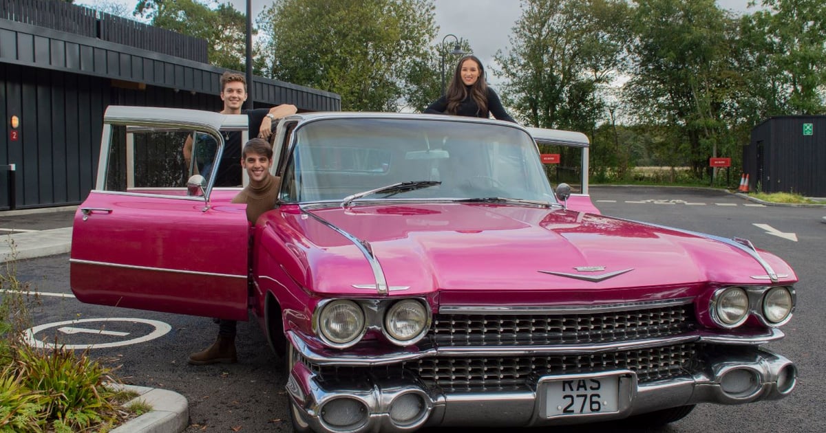 Grease - Daily Info | Daily Info