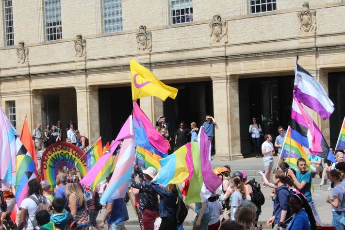 Editor's Picks - Daily Info | Daily Info